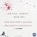Chinese Love Poems With English Translation