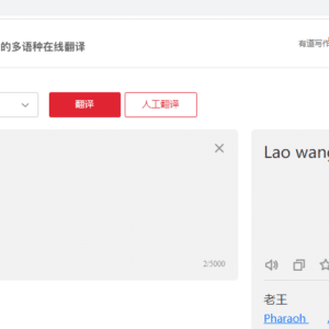 The Most Accurate Chinese To English Translator In 2024